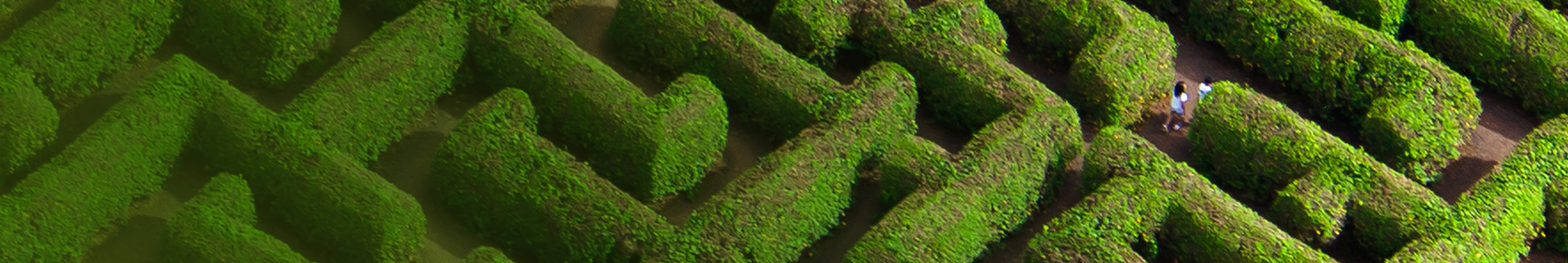 Elizabeth Jennings - Mander Hadley